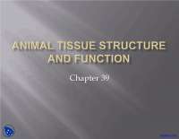 Animal Form and Function - Biology - Lecture Slides - Docsity