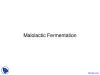 Malolactic Fermentation - Wine - Lecture Slides | Slides Winemaking ...