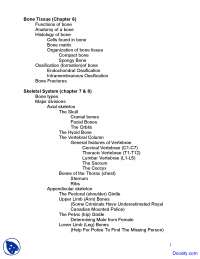 Bone Tissue - Human Anatomy - Handout - Docsity