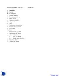 Skin Model - Human Anatomy - Handout - Docsity