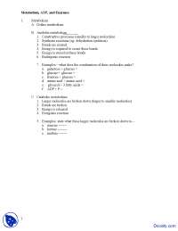 Metabolism, ATP and Enzymes - Human Anatomy and Physiology - Quiz - Docsity