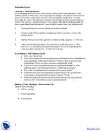 Endocrine System - Human Anatomy and Physiology - Lecture Notes - Docsity