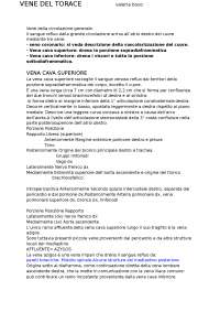 Vene del torace - Schemi - Anatomia - Docsity