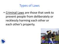 Types of Laws - Law - Lecture Slides - Docsity