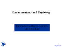 Introduction to Human Anatomy and Physiology - Physiology - Lecture ...