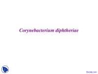 Corynebacterium Diphtheriae - Microbiology - Lecture Slides | Slides ...