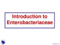 Introduction to Enterobacteriaceae - Microbiology - Lecture Slides ...