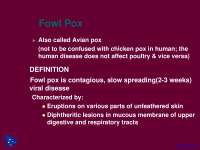 Fowl Pox - Poultry Pathology - Lecture Slides - Docsity