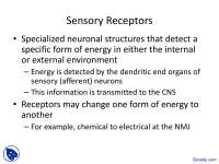 Sensory Receptors - Introduction to Human Physiology - Lecture Slides ...