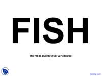 Fish - Zoology - Lecture Slides - Docsity
