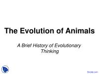 Evolution Of Animals Zoology Lecture Slides Docsity