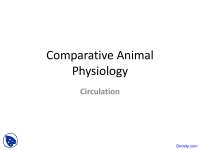 Circulation - Comparative Animal Physiology - Lecture Slides - Docsity