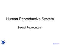 Human Reproductive System - Human Systems - Lecture Slides - Docsity