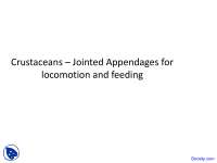 Crustaceans - Ecosystem Processes - Lecture Slides - Docsity
