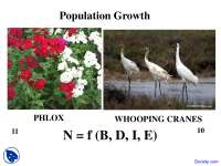 Population Growth - Ecology - Lecture Slides - Docsity