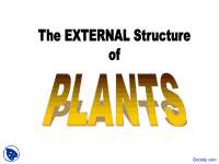 External Structure of Plants - Classification of Plants - Lecture ...