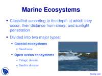 Marine Ecosystems - Ecology - Lecture Slides - Docsity