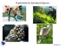 Exploitation by Introduced Species - Ecology - Lecture Slides - Docsity