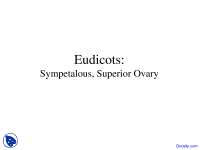 Sympetalous, Superior Ovary - Plant Taxonomy - Lecture Slides - Docsity