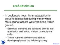 Basic Leaf Shapes - Introduction to Biology - Lab Handout - Docsity