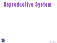 Reproductive System - Introduction to Biology - Lecture Slides - Docsity