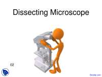 Dissecting Microscope - Coral Reef Lab and Field Studies - Lecture ...