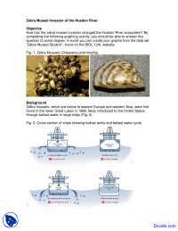 Zebra Mussel Invasion - Coral Reef Lab and Field Studies - Lecture ...