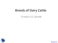 Breeds of Dairy Cattle, Dairy - Animal Science - Lecture Slides - Docsity