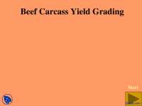 Beef Carcass Yield Grading, Beef - Animal Science - Lecture Slides ...