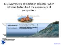 Asymmetric Competition - Principles of Ecology - Lecture Slides - Docsity