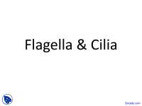 Flagella and Cilia - Cytology - Lecture Slides - Docsity