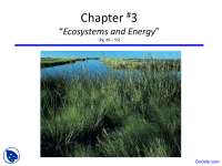 Ecosystems and Energy - Environmental Science - Lecture Slides - Docsity