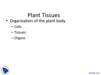 Plant Tissues - Fundamentals of Botany - Lecture Slides - Docsity