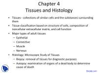 Tissues and Histology - Physiology and Anatomy - Lecture Slides - Docsity