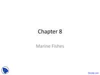 Marine Fishes - Marine Biology - Lecture Slides - Docsity