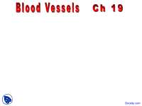 Blood Vessels - Physiology and Anatomy - Lecture Slides - Docsity