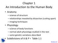 Introduction to Human Body - Physiology and Anatomy - Lecture Slides ...