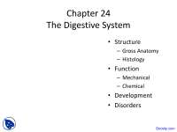 Digestive System Structure - Physiology and Anatomy - Lecture Slides ...