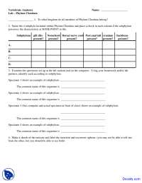 Phylum Chordata - Vertebrate Anatomy - Lab Manual | Study notes Anatomy ...