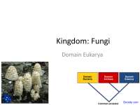 Kingdom Fungi - Application of Biology - Lecture Slides - Docsity