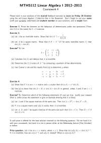 Swapping Row - Linear Algebra - Exercise - Docsity
