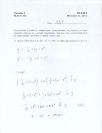Differential Equation - Calculus - Solved Exam - Docsity