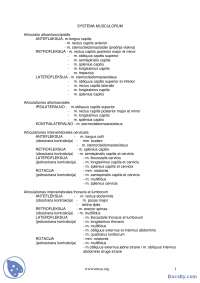 Misici-Beleska-Anatomija-Medicina | Beleške' predlog Anatomija čoveka ...