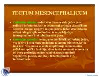 Mesencephalon i cerebellum-Slajdovi-Anatomija-Medicina (2) | Slajdovi ...