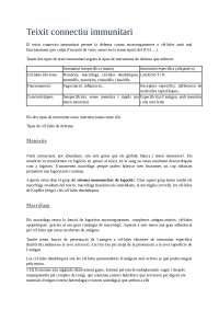 Teixit connectiu immunitari - Apuntes de Citología - Docsity