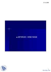 Arterije i vene noge-Slajdovi-Anatomija-Medicina | Slajdovi' predlog ...