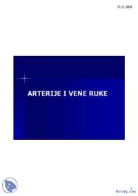 Arterije i vene ruke-Slajdovi-Anatomija-Medicina | Slajdovi' predlog ...