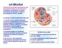 03 CELLULA VEGETALE - Docsity