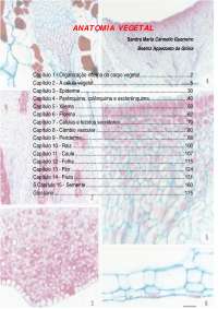 Histologia Vegetal: Epiderme (Anatomia das Espermatófitas) - Anatomia ...