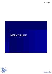 Nervi ruke-Slajdovi-Anatomija-Medicina | Slajdovi' predlog Prva pomoć ...